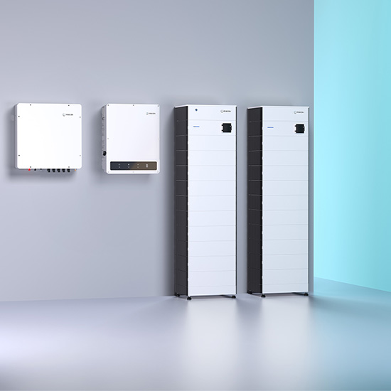FENECON | Home 20 & 30